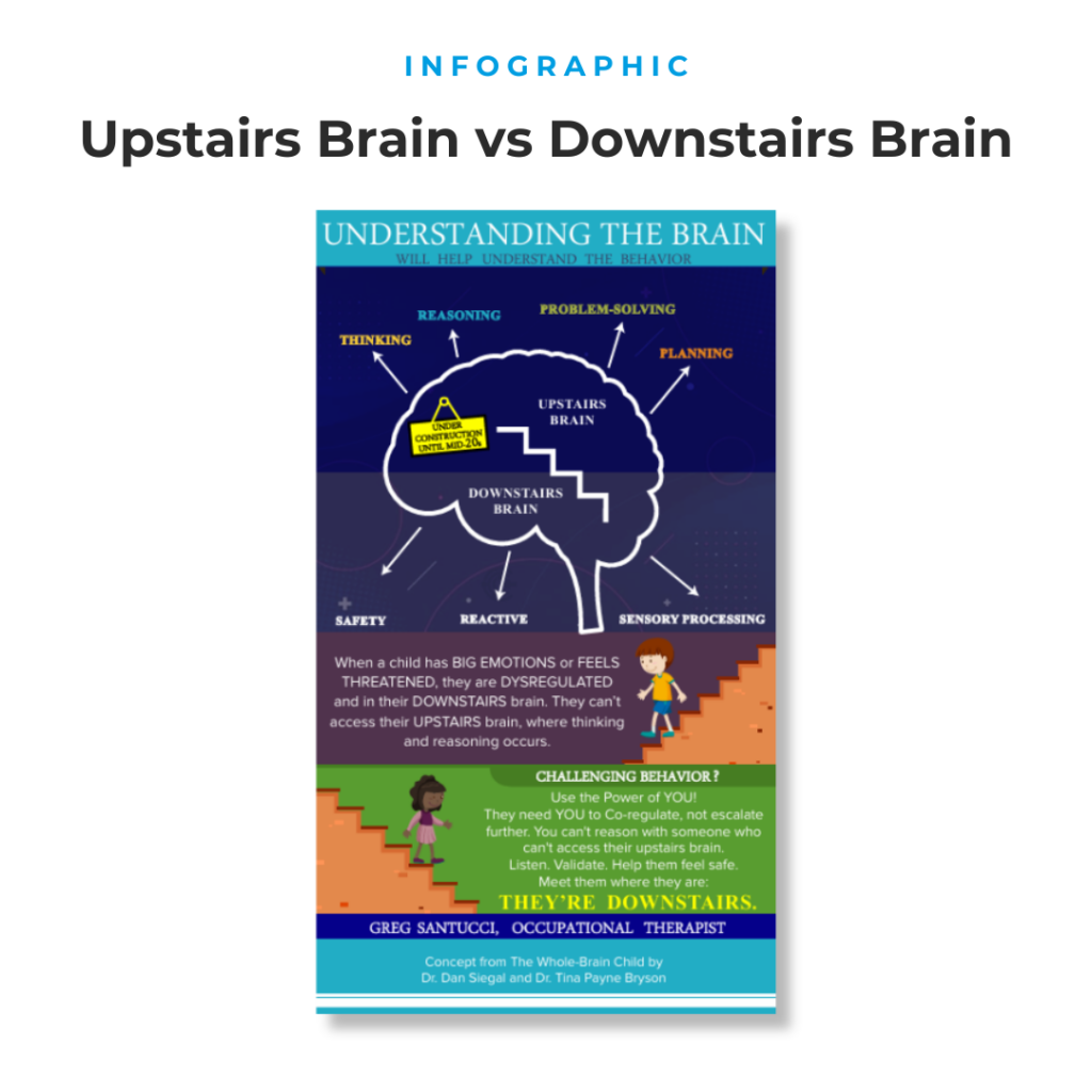 Upstairs Brain vs. Downstairs Brain - ClimbRx®